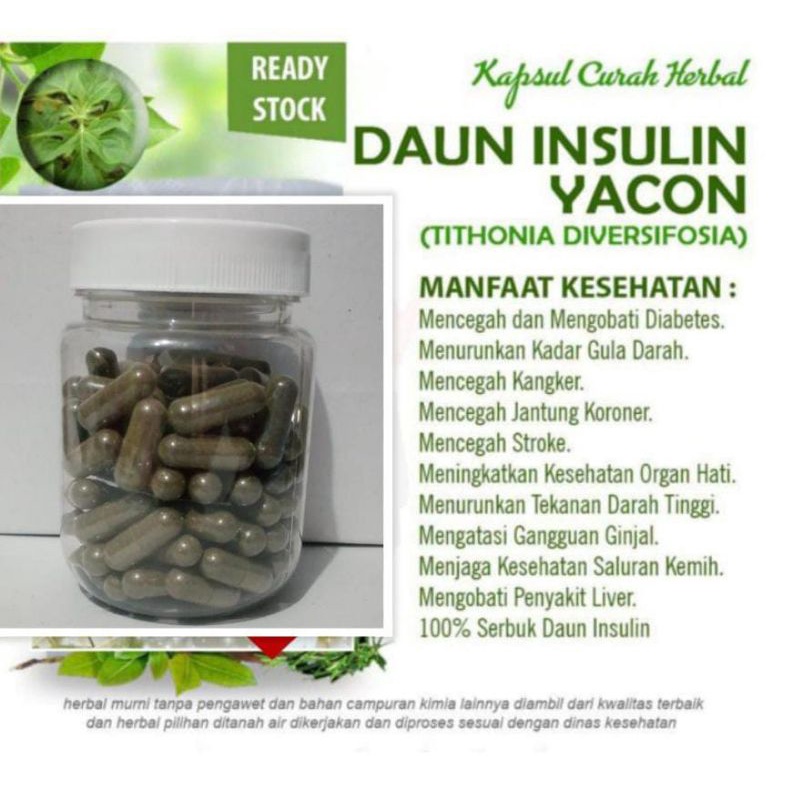 Jual Daun Insulin 100 Kapsul Kapsul Diabetes Liver Ginjal Kemasan BOTOL ...