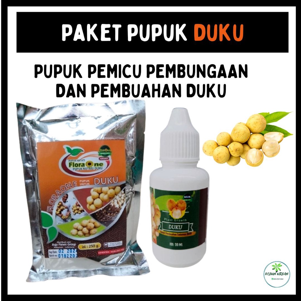 Jual Pupuk Pohon Duku, Paket Budidaya Duku Booster Hayati Plus Hormon Tanaman Buah Duku ...