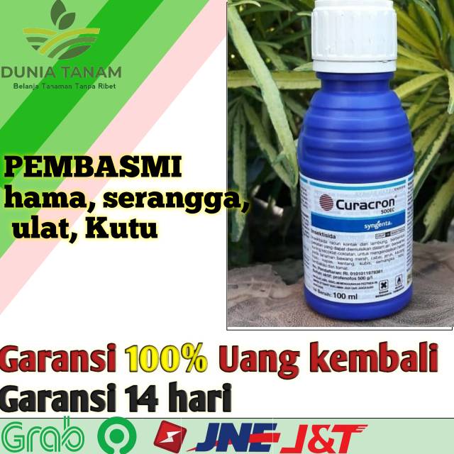 Jual obat pembasmi pestisida insektisida anti hama tanaman durshban ...