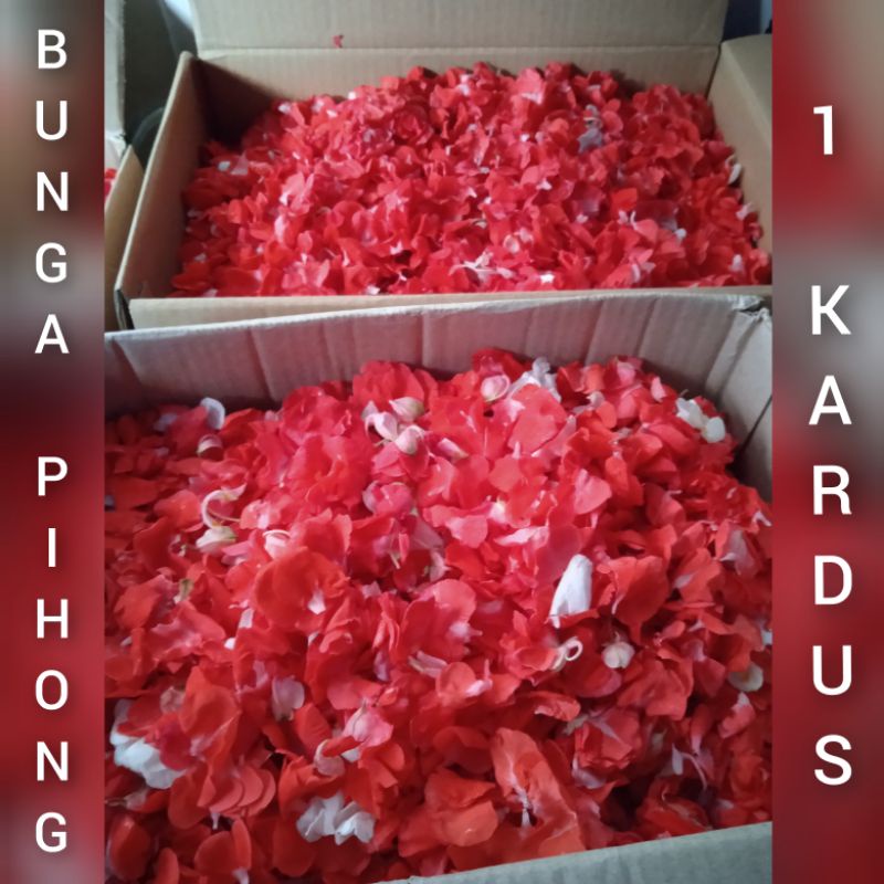 Jual bunga tabur makam ziarah kembang pihong segar 1 kardus 1 - 1,5 ...
