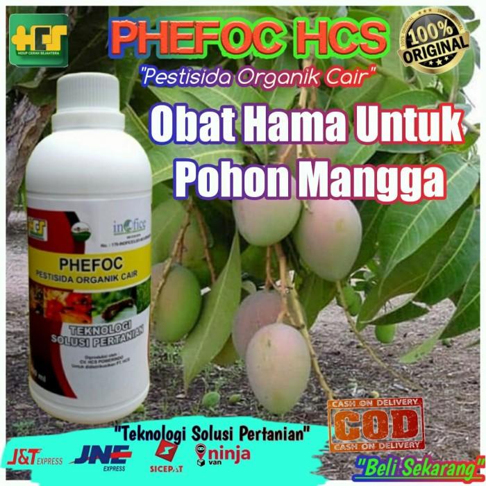 Jual Obat Hama Utk Pohon Mangga/Obat Anti Lalat Buah/Phefoc Hcs ...
