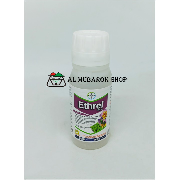 Jual Ethrel 480SL Zat Pengatur Tumbuh 100 ml | Shopee Indonesia