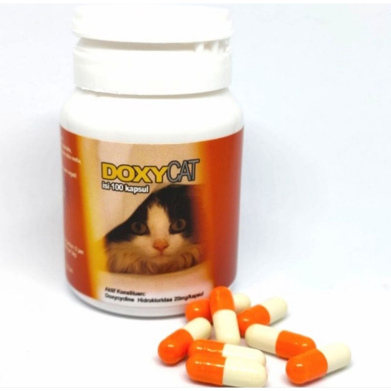 Jual Doxycat Doxy Cat Im Organic - Obat Flu Kucing Doxy Cat Flu Ecer ... Jual Doxycat Doxy Cat Im Organic - Obat Flu Kucing Doxy Cat Flu Ecer ...