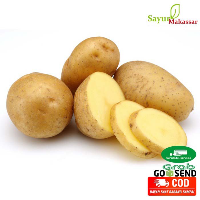 Jual Kentang 1 kg / Potato Buah Segar Fresh Bumbu Dapur Sayur Makassar ...