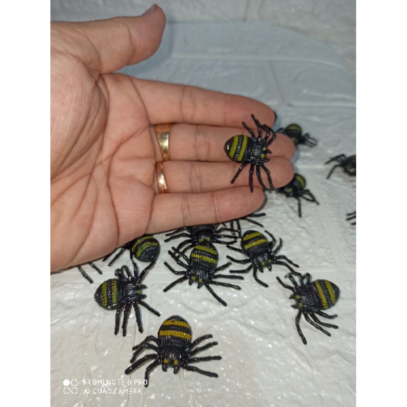 Jual mainan laba laba belang isi 3pcs | Shopee Indonesia