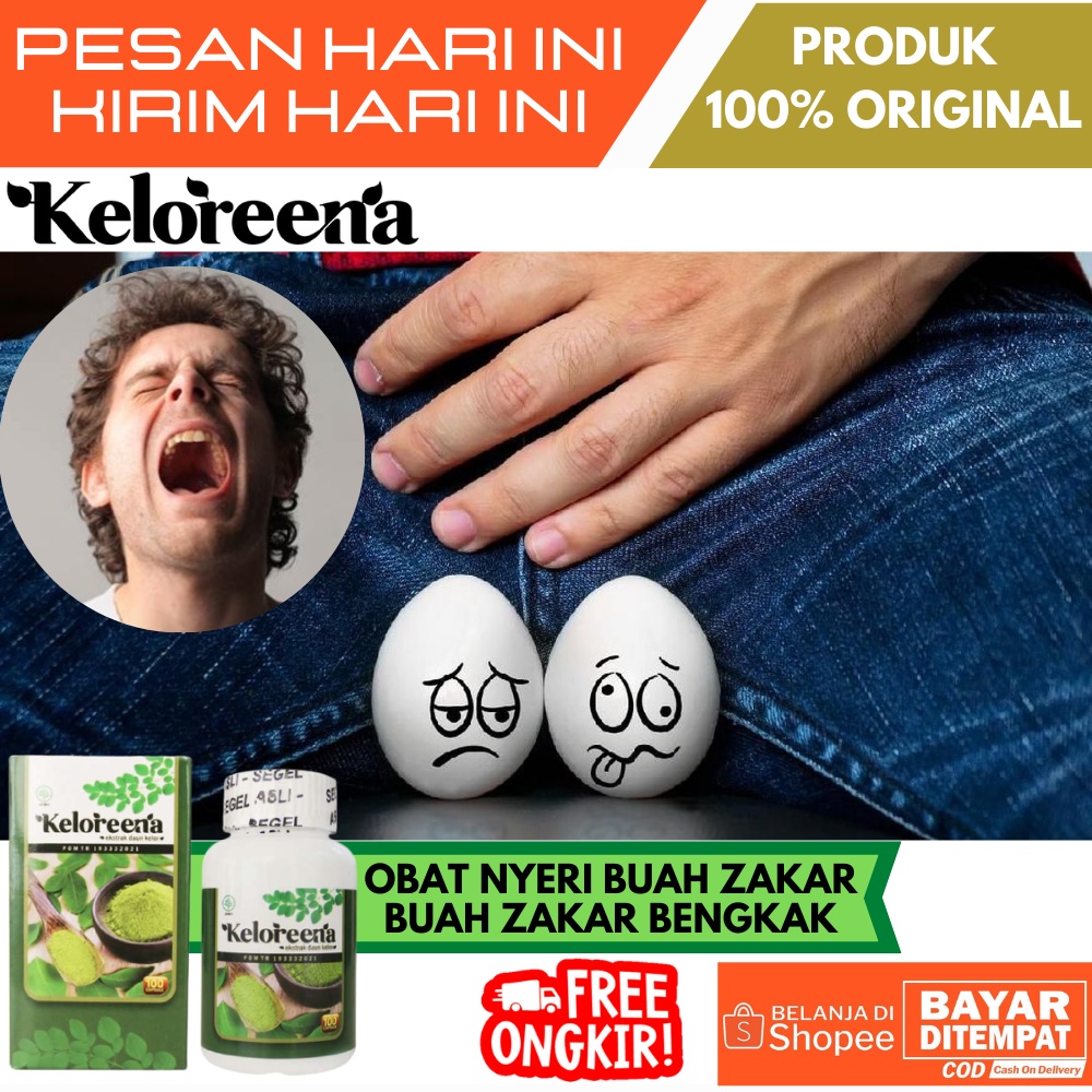 Jual Obat Herbal Nyeri Biji Pelir / Varikokel / Testis Bengkak / Hernia ...