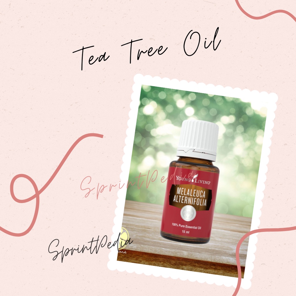 Jual Tea Tree Oil Original Young Living | Shopee Indonesia