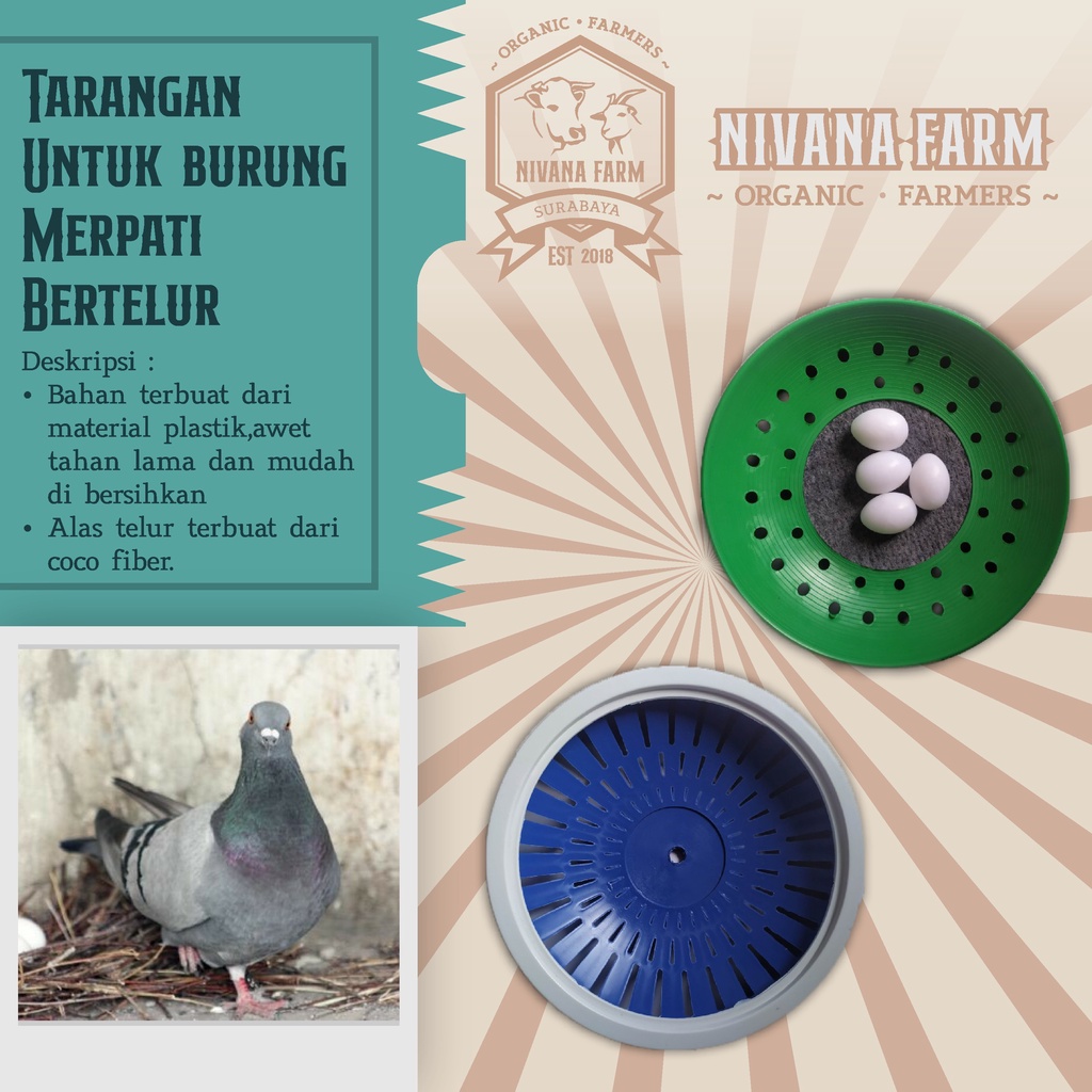 Jual Tarangan Angkreman Burung Merpati Sarang Burung Tempat Bertelur ...