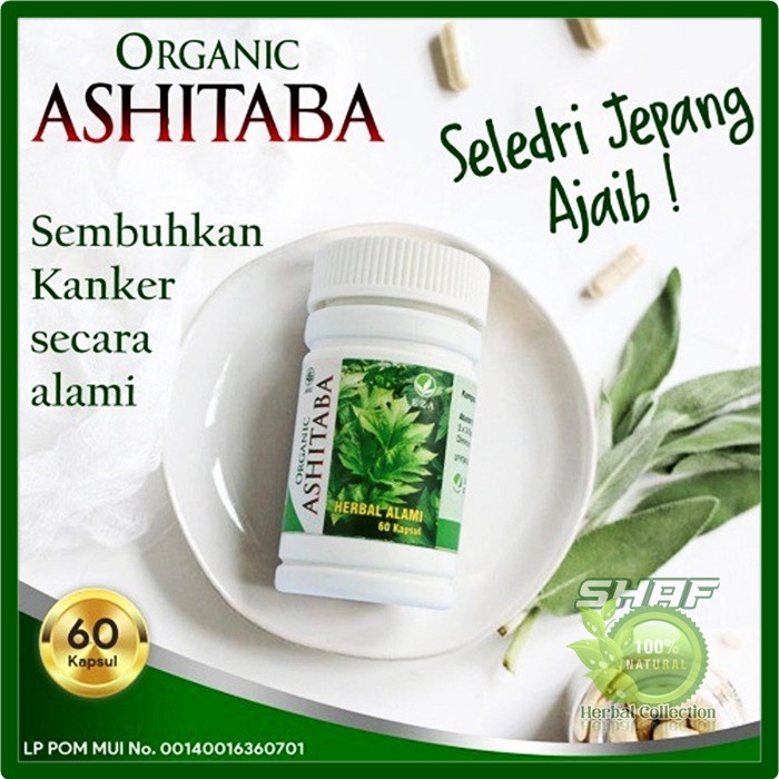 Jual Daun ASHITABA EZA Seledri Jepang Obat Anti Kanker Tumor Hypertensi ...