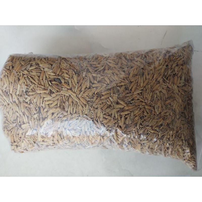 Jual sekam kulit padi mentah 400 gr | Shopee Indonesia