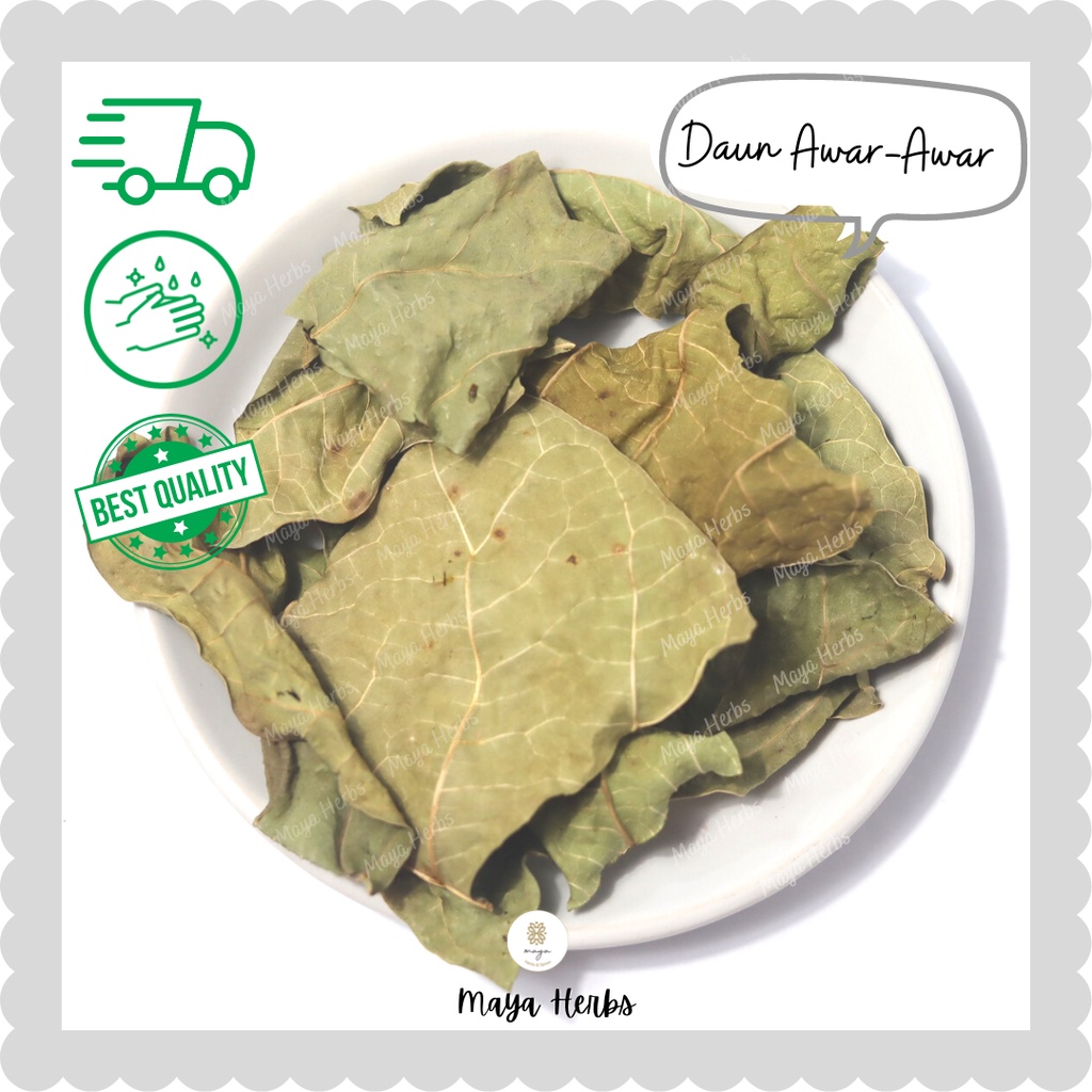 Jual Daun Awar-Awar Kering 10 gram ( Ficus Septica / Ki Ciyat / Bar ...