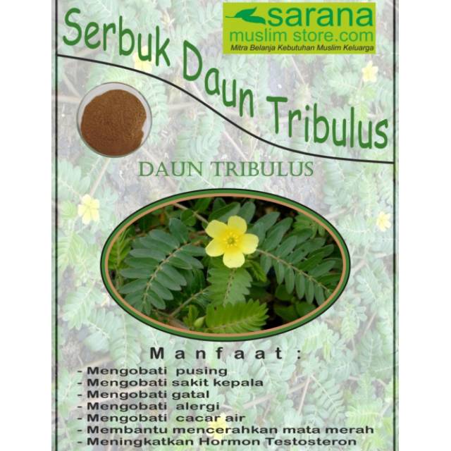 Jual Serbuk Bubuk Daun Tribulus Kemasan 500gr Asli Manfaat Untik Pria ...