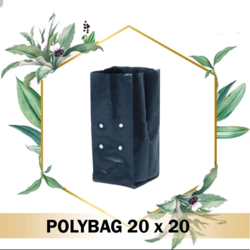Jual 1 lembar Polybag Tanaman Polibag Tebal Kecil Sedang 20x20 Pot ...