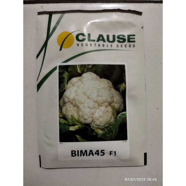 Jual benih kembang kol hibrida BIMA 45 isi 10 gram | Shopee Indonesia