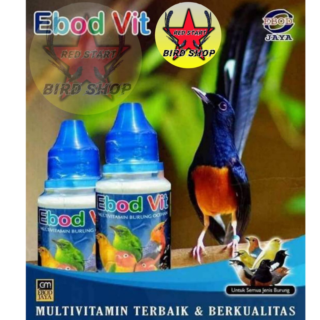 Jual EBOD VIT VITAMIN EBOD JAYA OBAT BURUNG LOVEBIRD KENARI MURAI KACER ...