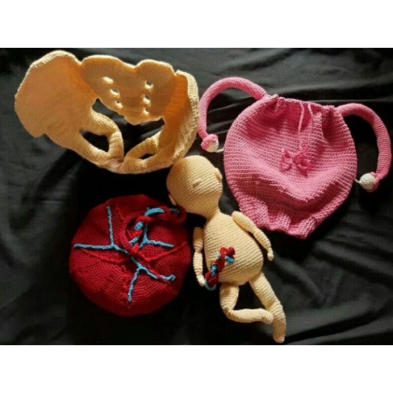 Jual phantom bayi, placenta,uterus | Shopee Indonesia