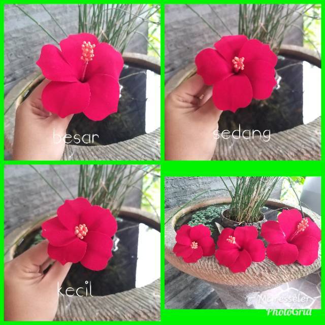 Jual Bunga pucuk Bali | Shopee Indonesia
