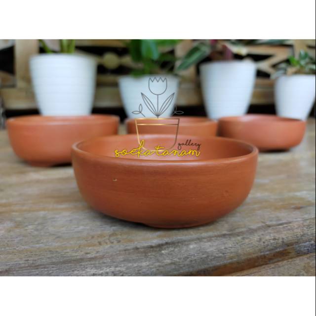 Jual Pot Bonsai Ceper / Pot Bonsai Kecil / Pot bonsai mini / Pot Bonsai ...