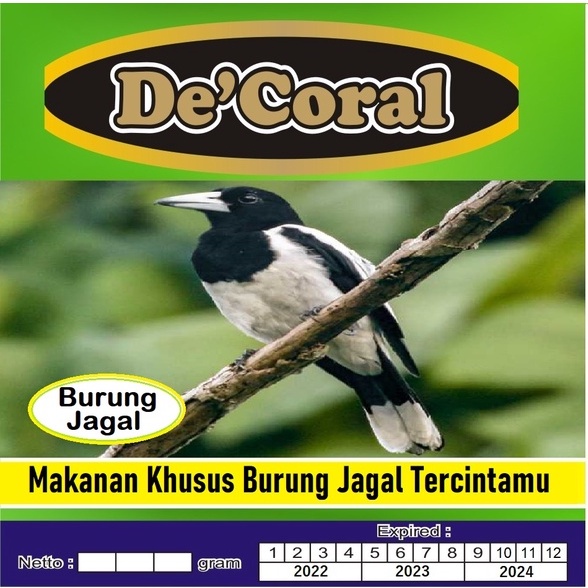 Jual Makanan Burung Jagal Bergizi | Pakan Burung Jagal | Umpan Burung ...