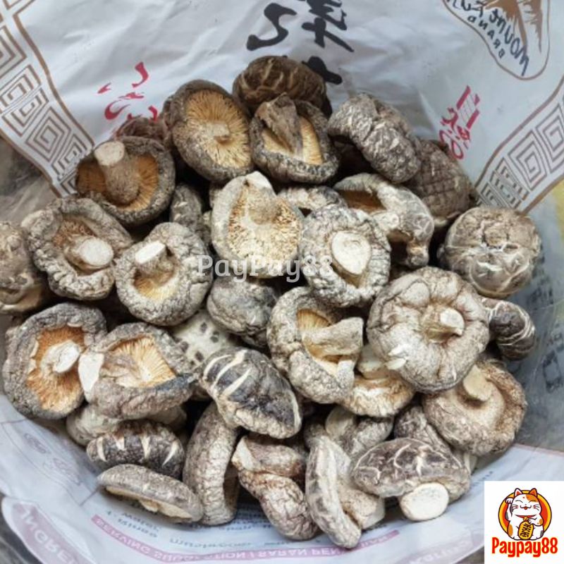 Jual JAMUR SHITAKE HIOKO PREMIUM / XIANG GU / JAMUR KERING / FRAGRANT ...