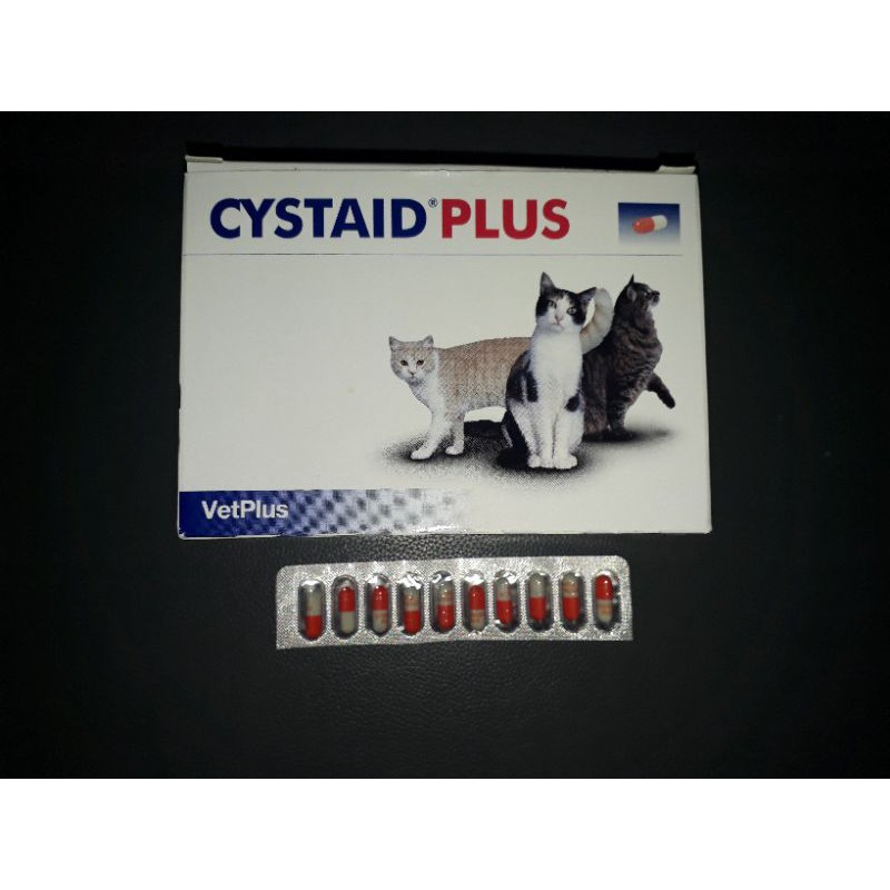 Jual Cystaid Plus Kucing Obat Gangguan Saluran Perkencingan (1kapsul ...