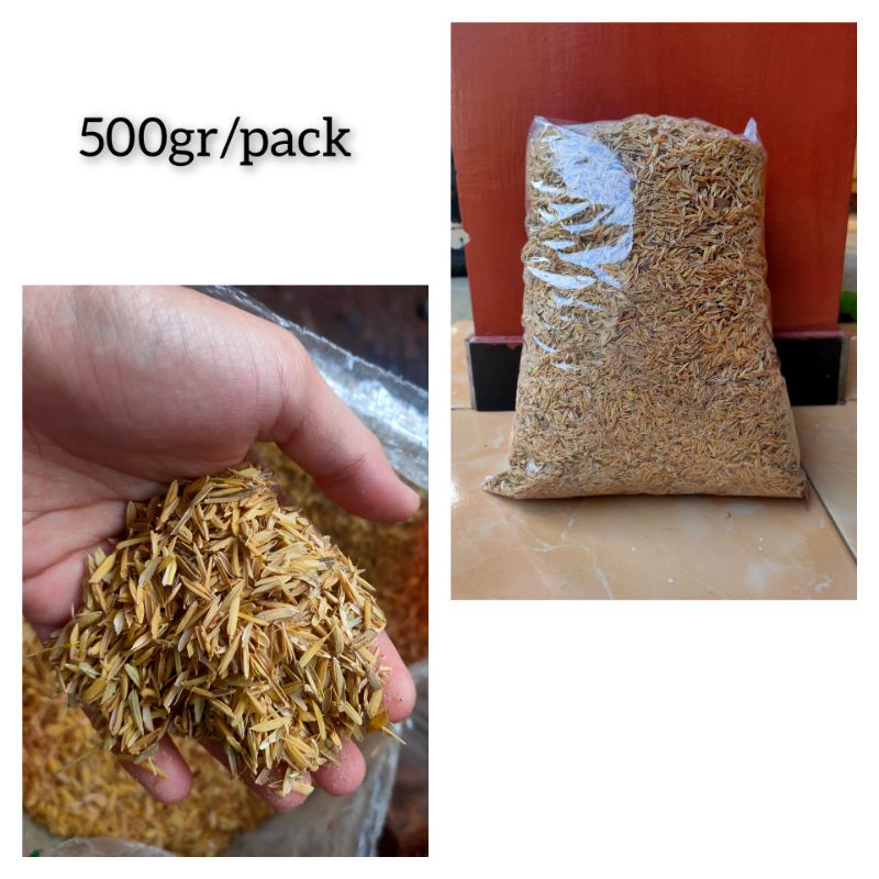 Jual sekam padi mentah media tanaman merang padi brambut padi | Shopee ...