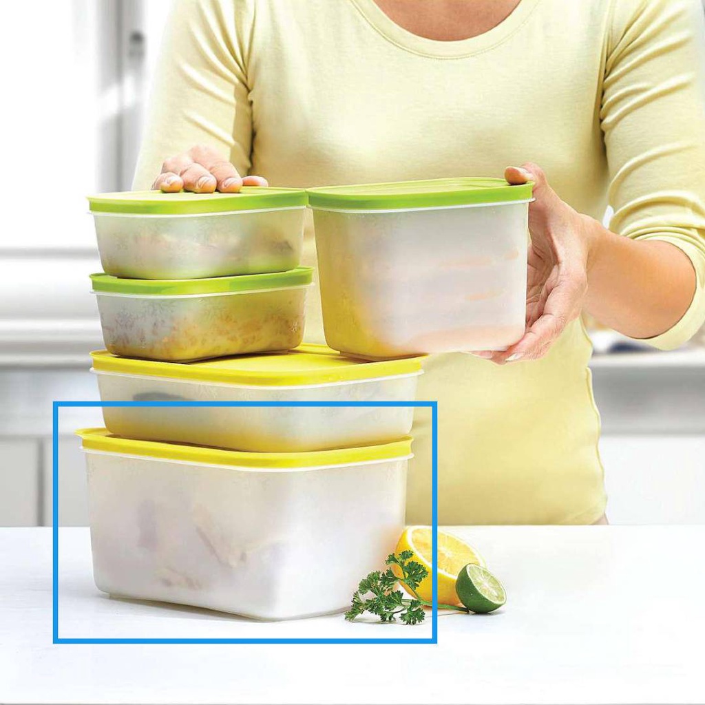 Jual Wadah makanan di kulkas Tupperware Frozy Cozy | Shopee Indonesia