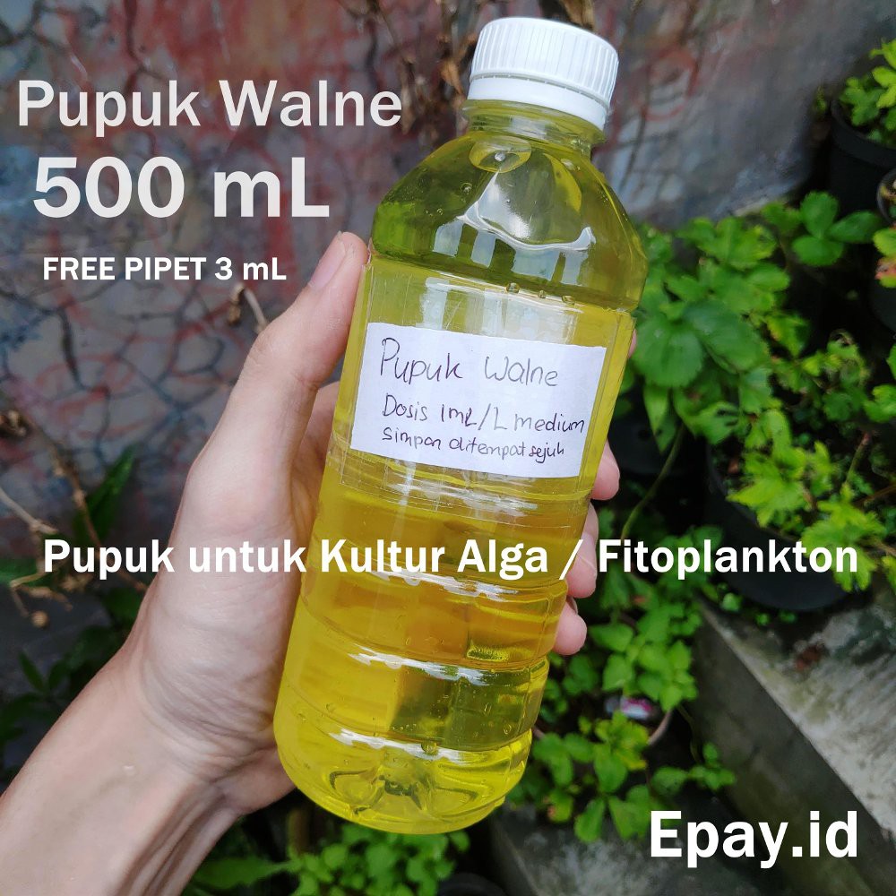 Jual Pupuk Walne 500 ML Kultur Phytoplankton Alga Spirulina ...