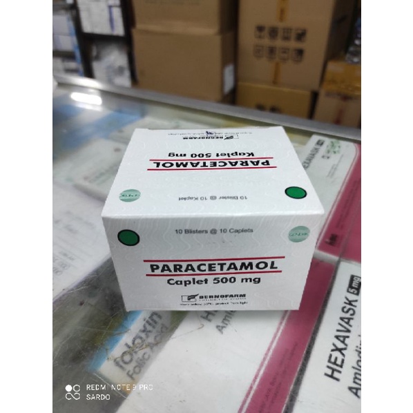 Jual paracetamol 500 berno per box | Shopee Indonesia