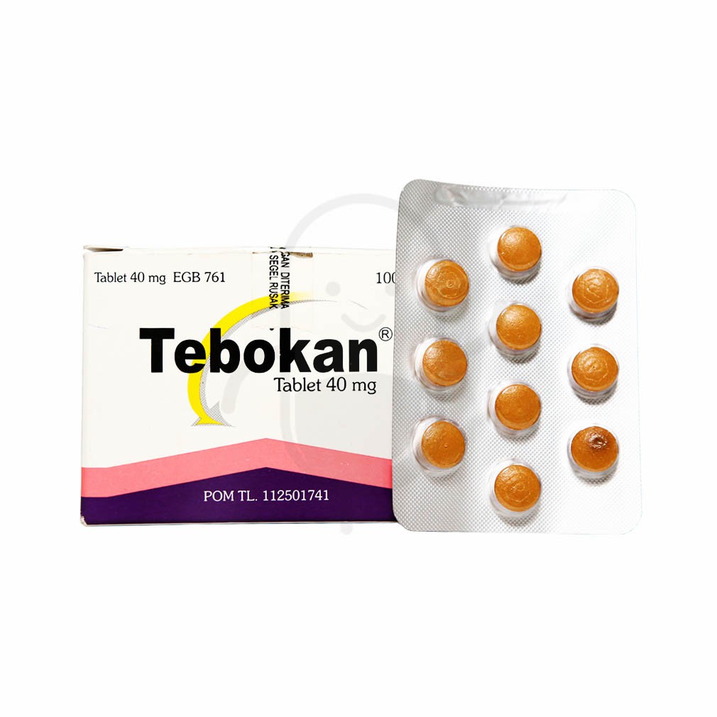Jual TEBOKAN 40mg STRIP/10 TAB|Vitamin Ginkgo Biloba|Telinga-Lansia ...