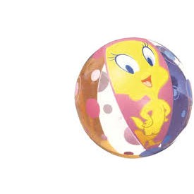 Jual Bola Renang Tweety Intex 58047 Lt Tweety Beach Ball | Shopee Indonesia