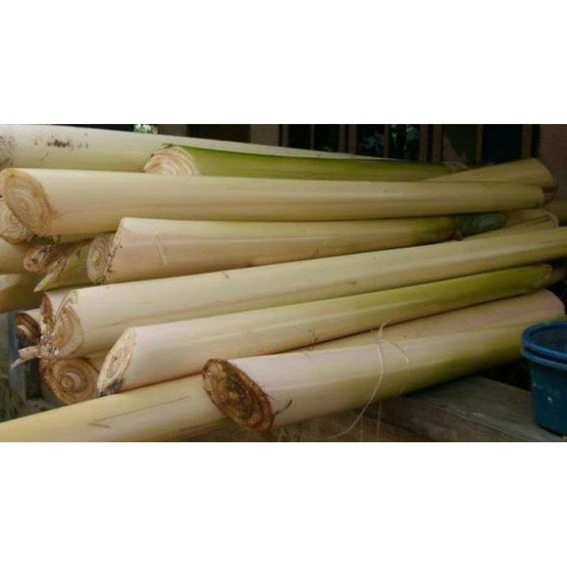 Jual Gedebog pisang/Batang Pisang/KG | Shopee Indonesia