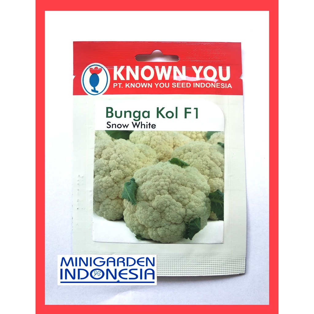 Jual BUNGA KOL SNOW WHITE 140 BIJI PACK KECIL Benih Kembang Kol F1 ...