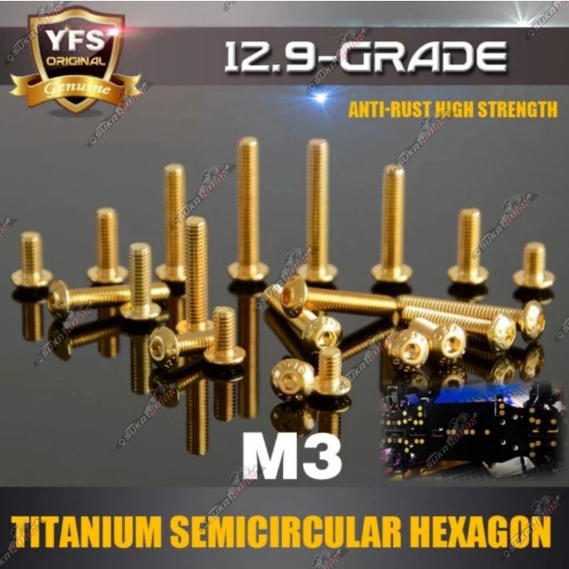 Jual YFS Baut RC M3 Round Head Titanium Grade 12.9 RC Golden Screw ...
