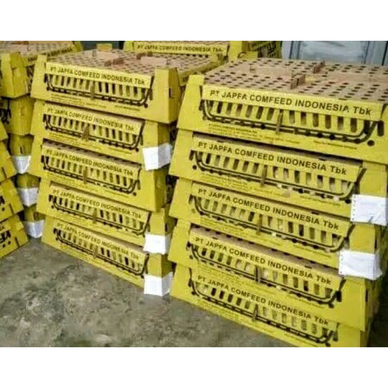 Jual Doc ayam broiler/umur 3-5hari | Shopee Indonesia