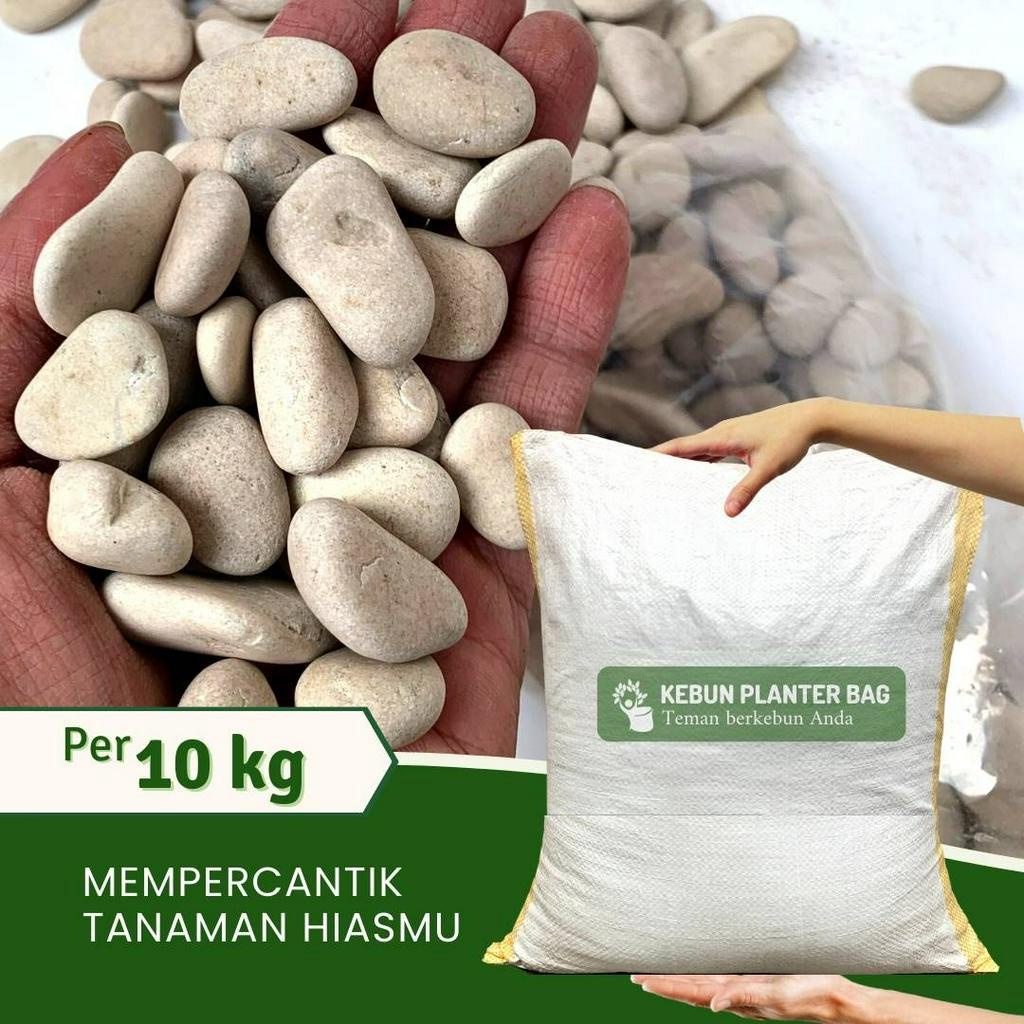 Jual Batu Koral Putih 10 Kg Alam Natural Dekorasi Tanaman Pot Hias | Shopee Indonesia