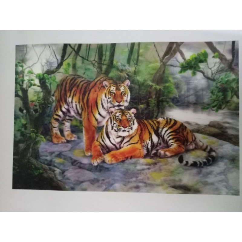 Jual POSTER HARIMAU 3 DIMENSI UKURAN 58X38 CM (terlihat hidup & nyata ...