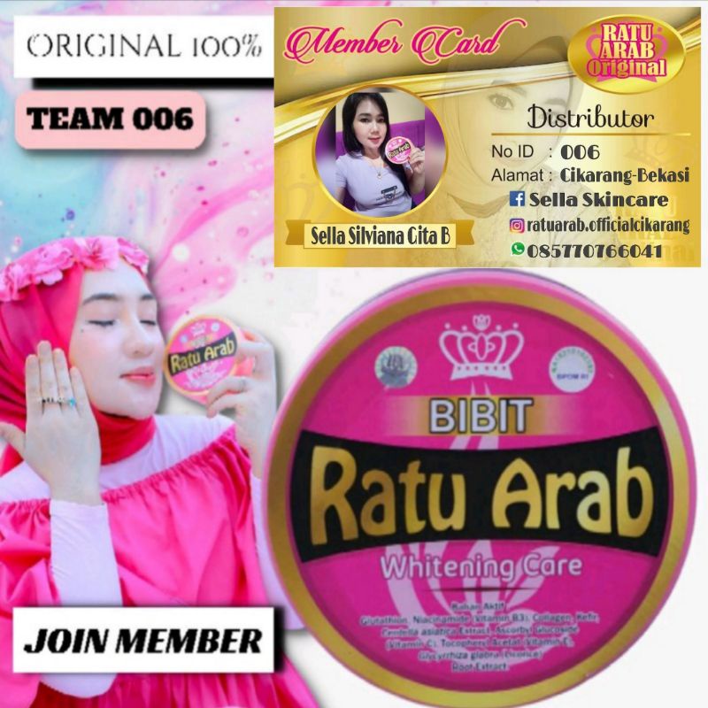 Jual BIBIT RATU ARAB ORIGINAL BPOM ( pot terbaru ) | Shopee Indonesia