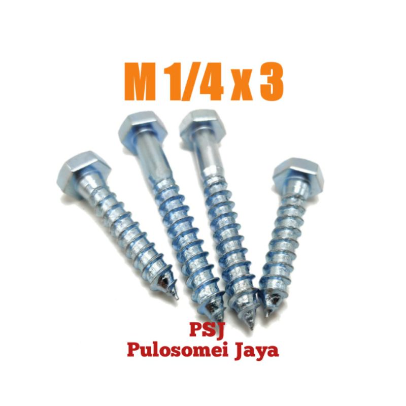 Jual Deskrup 1/4 x 3 / Lag Screw 1/4 x 3 / Deskurp Galvanis | Shopee ...