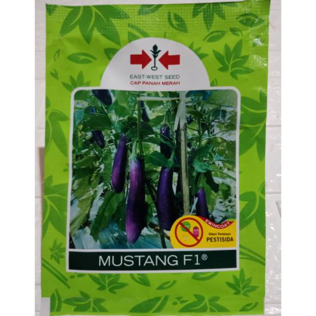 Jual Benih Terong Ungu MUSTANG F1 Cap Panah Merah Bibit isi 1100 butir | Shopee Indonesia