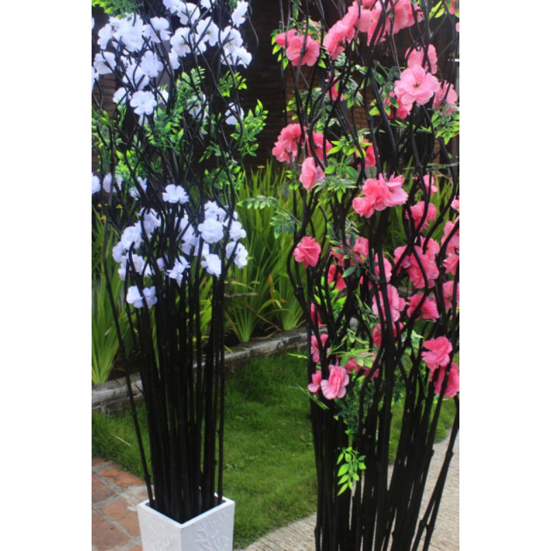 Jual bunga anyelir bambu inul | Shopee Indonesia