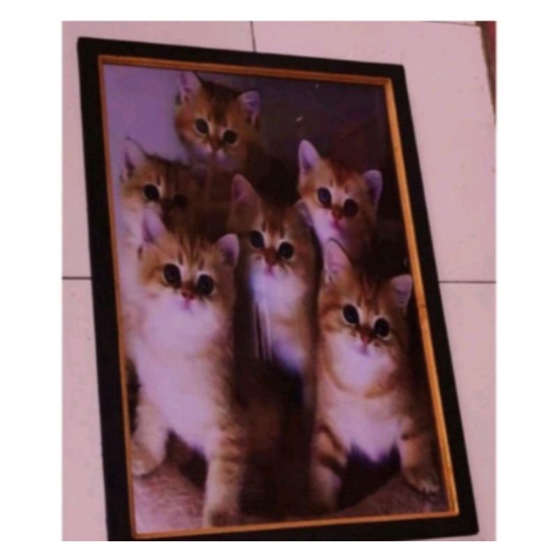Jual poster murah gambar kumpulan kucing lucu plus bingkai ukuran 55x35 ...