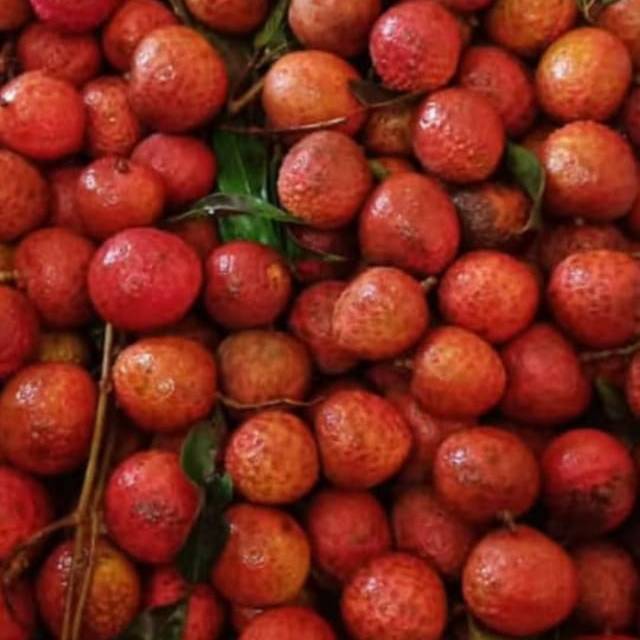 Jual Buah LECI SEGAR | Shopee Indonesia