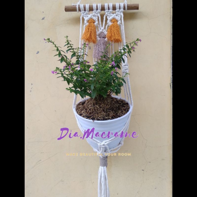 Jual pot gantung/wall plant hanger | Shopee Indonesia