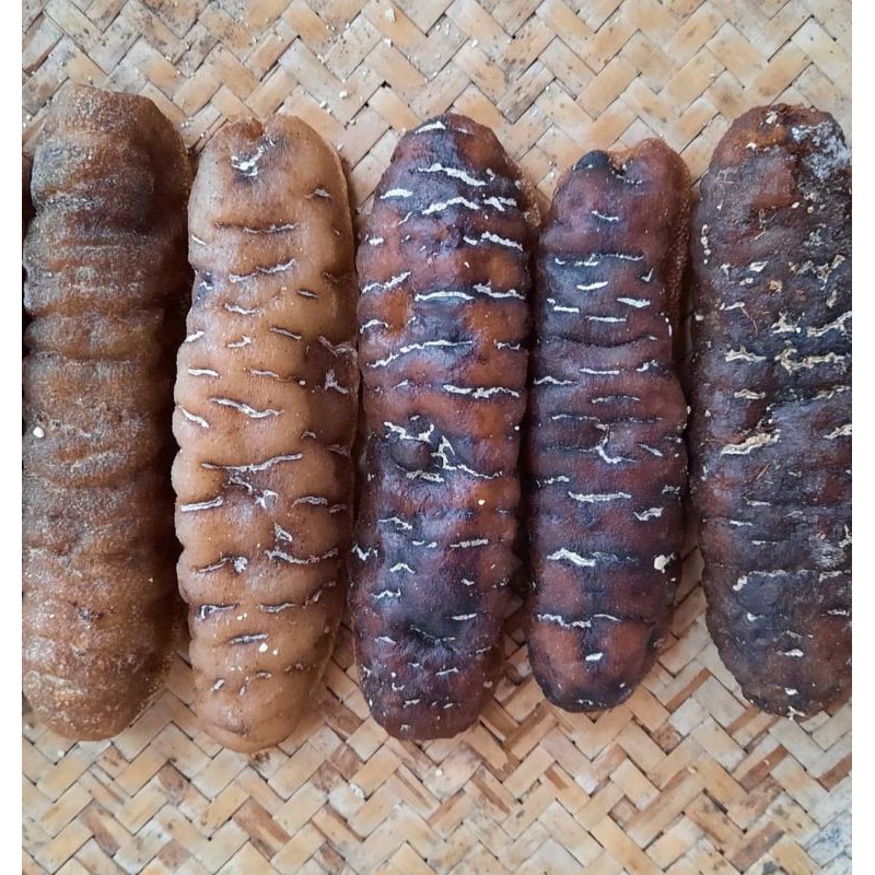 Jual HAISIM/ BAKSIM/ TERIPANG/ GAMAT 500g | Shopee Indonesia