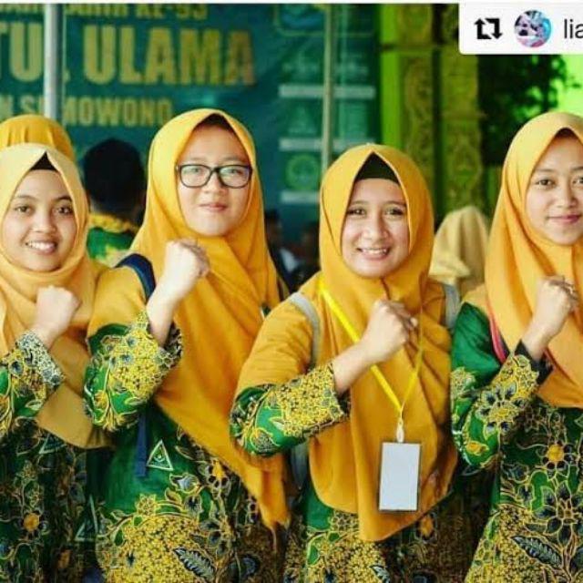 Jual Kemeja Batik IPNU IPPNU Nasional Resmi NU Blouse pusat | Shopee ...
