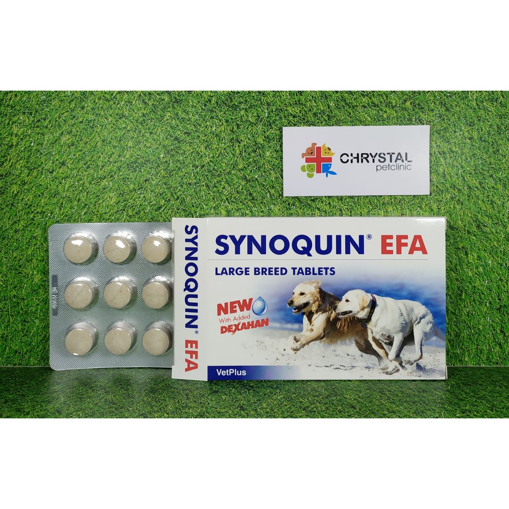 Jual SYNOQUIN LARGE BREED PER TABLET | Shopee Indonesia