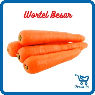 Jual Wortel 1 Kg Terlengkap & Harga Terbaru Juli 2025 | Shopee Indonesia