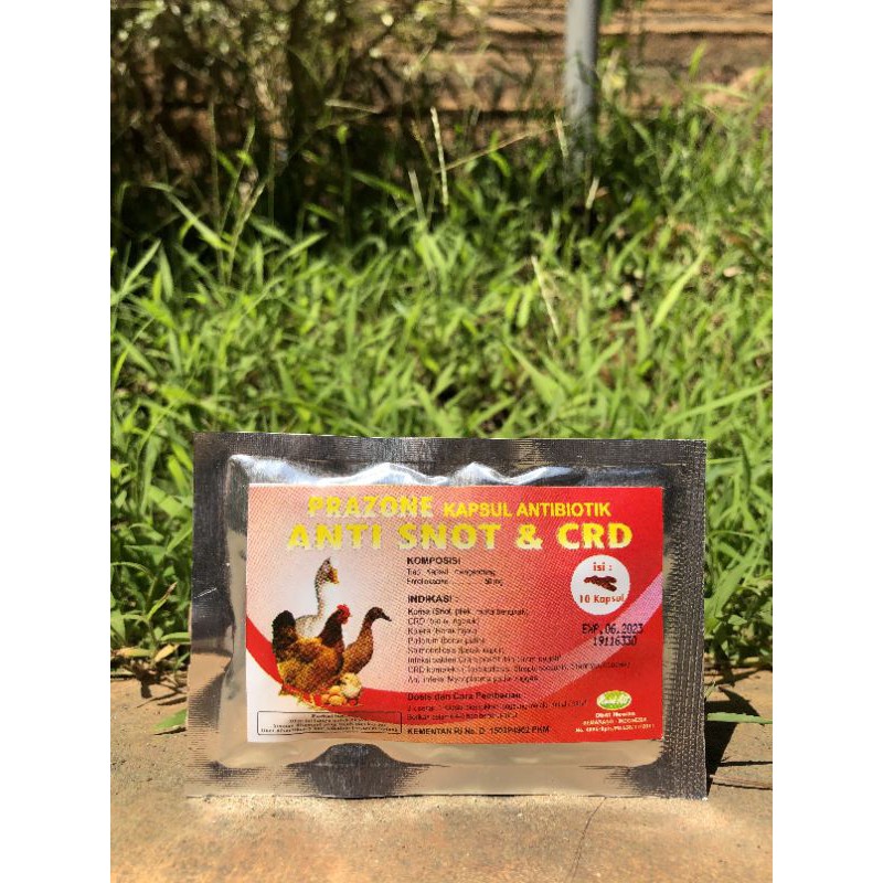 Jual Prazone Kapsul antibiotik --Anti Snot dan CRD-- isi 10 Kapsul ...
