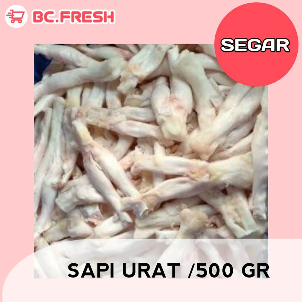 Jual Urat sapi segar 500 gram | Shopee Indonesia